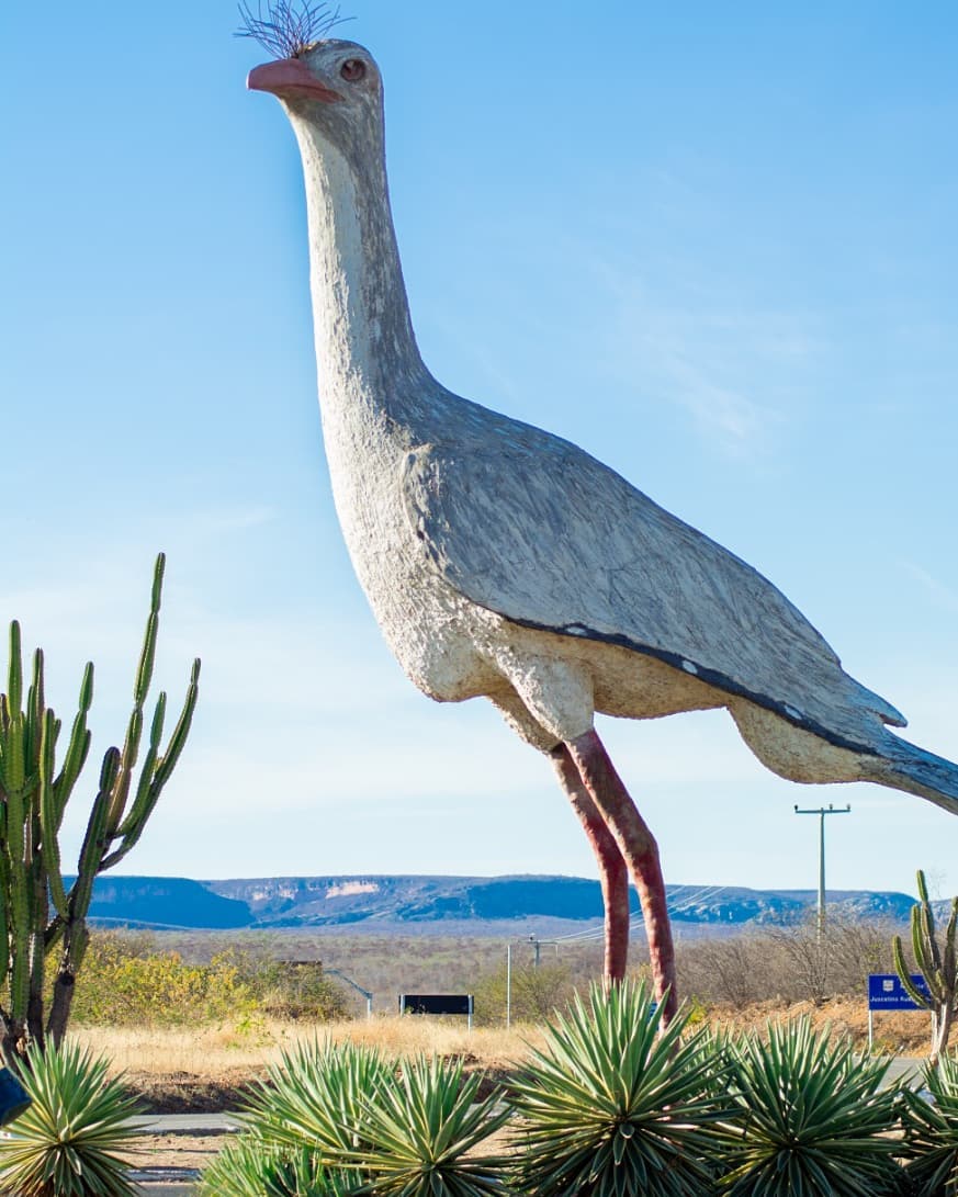 São Raimundo Nonato - SãoRaimundo.com